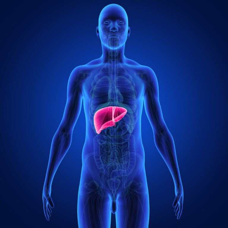 Your Digestive Health | US Digestive Health